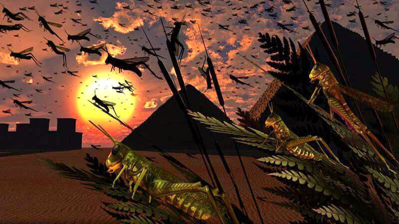 Pujilah Tuhan | GKA Gloria Samudra